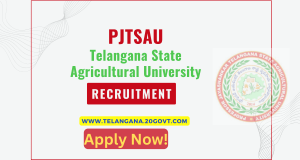 PJTSAU Hyderabad Jobs Vacancy 2025 — Apply Non Teaching, Faculty ...